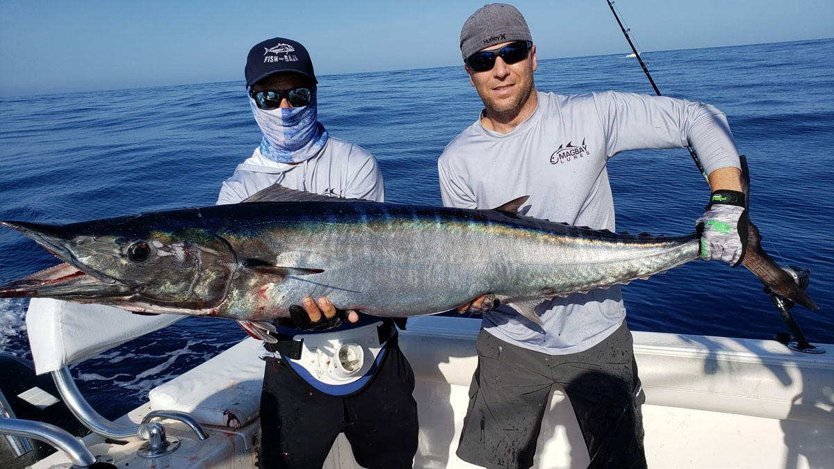 Mag Bay Fishing August 2019 - Mag Bay Sport Fishing Lodge